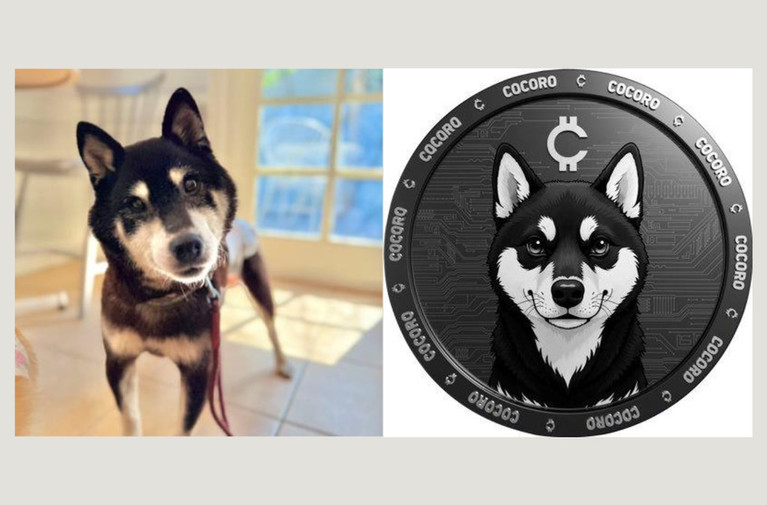 Who Owns a Meme? Doge Sues Rival Over Cocoro Token | Law.com
