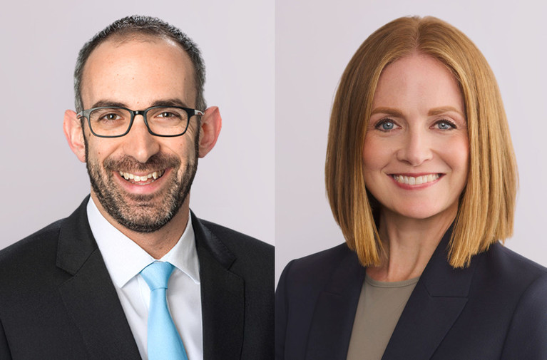Exercising a Comparative Advantage: Economic Consultants and Pro Bono ...