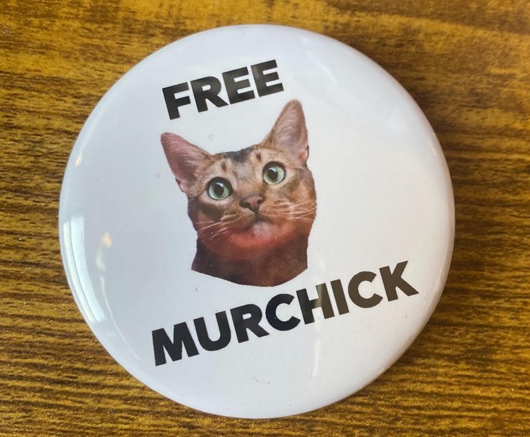 'Free Murchik': Junior Quinn Emanuel Lawyers Take on Pro Bono Cat ...